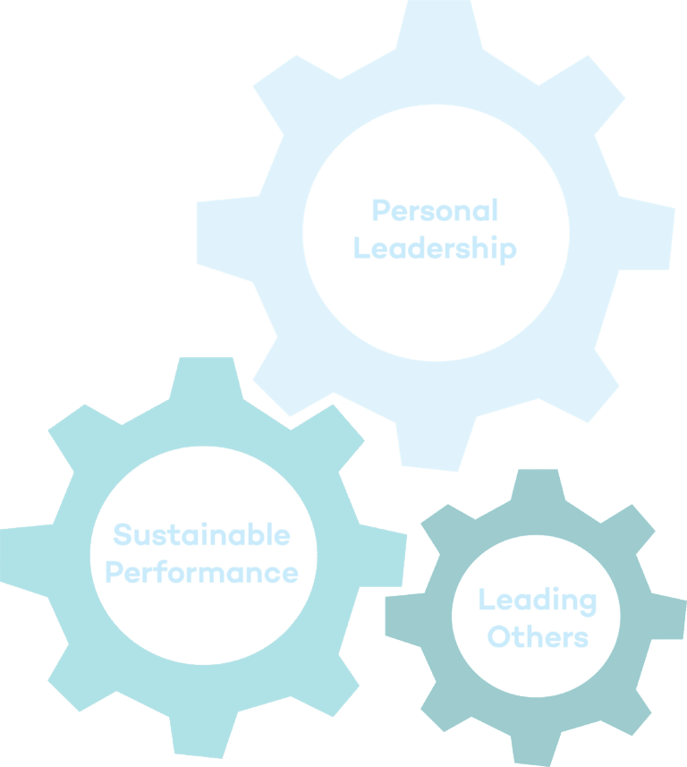 High Impact Leadership Development - Steering Point Executive Search ...